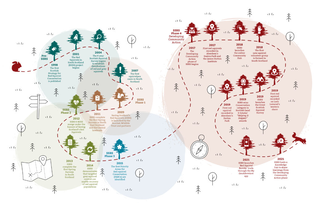News: Report details red squirrel conservation successes, with key ...